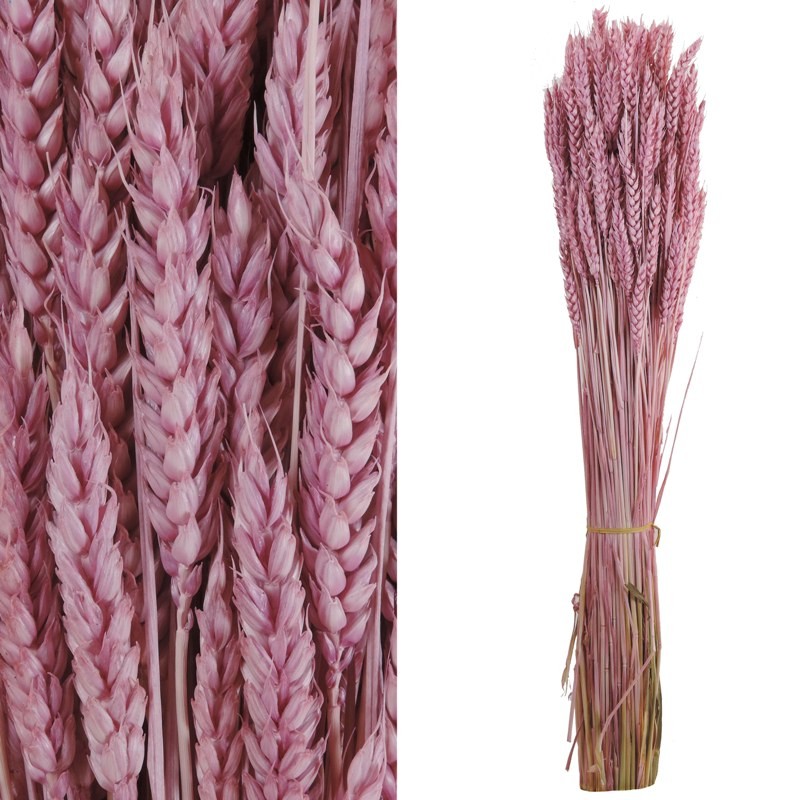 Trigo Flor Lila Claro 200 grs